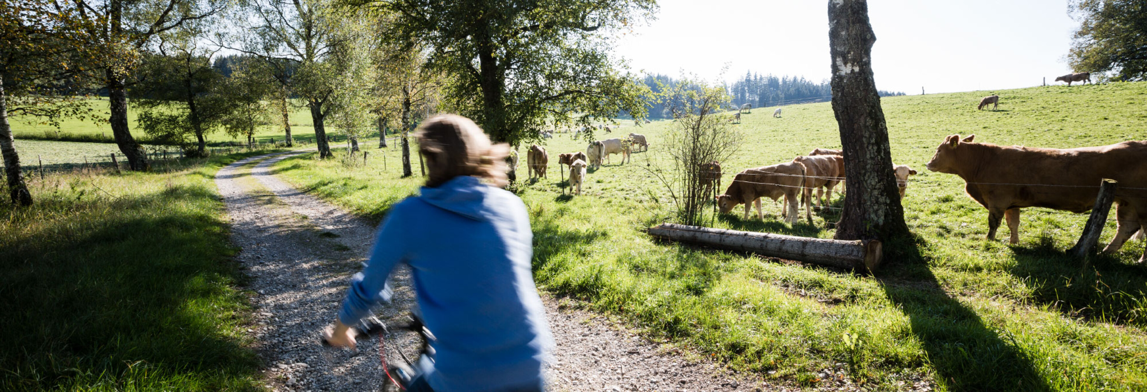 Stadtbibliothek | Stadt Geretsried